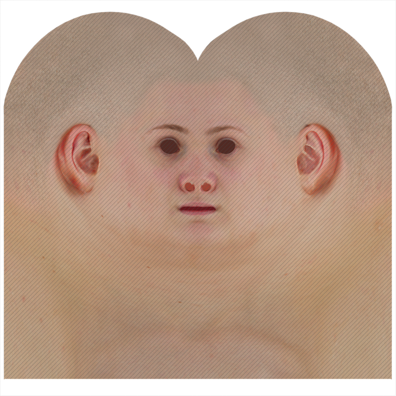 Female head texture map 10